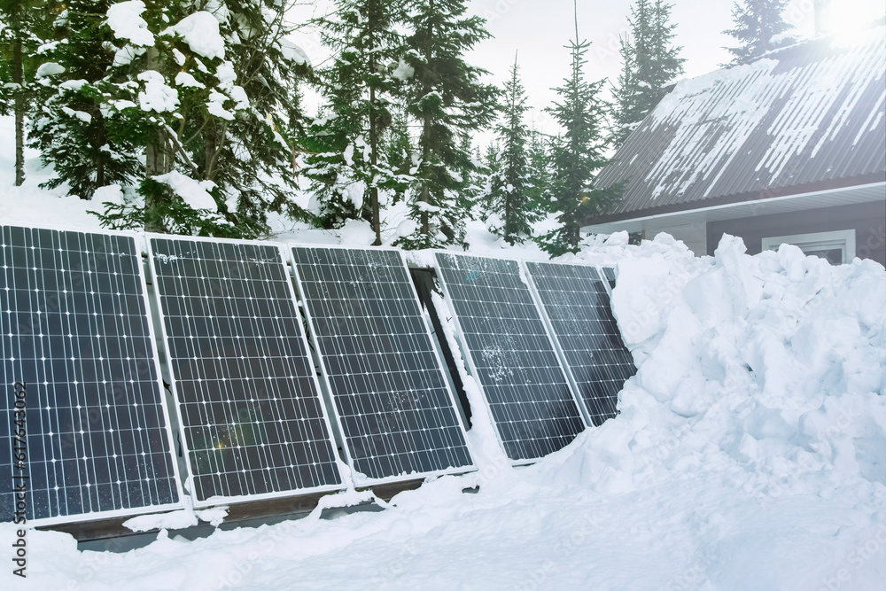 Sustainable power plant with solar photovoltaic panels for the ...