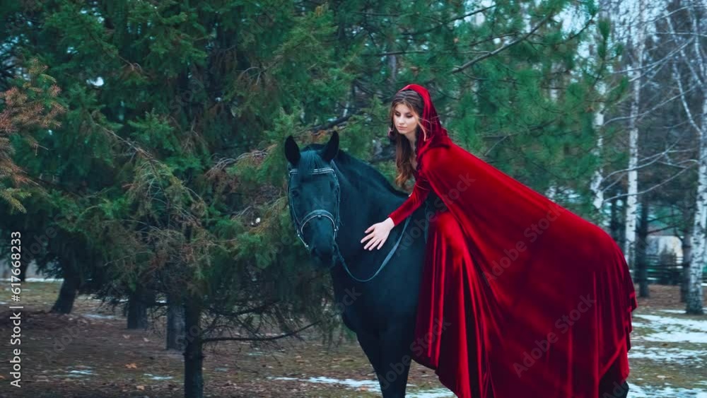 fantasy woman hand stroking neck back black horse. steed hair shines ...