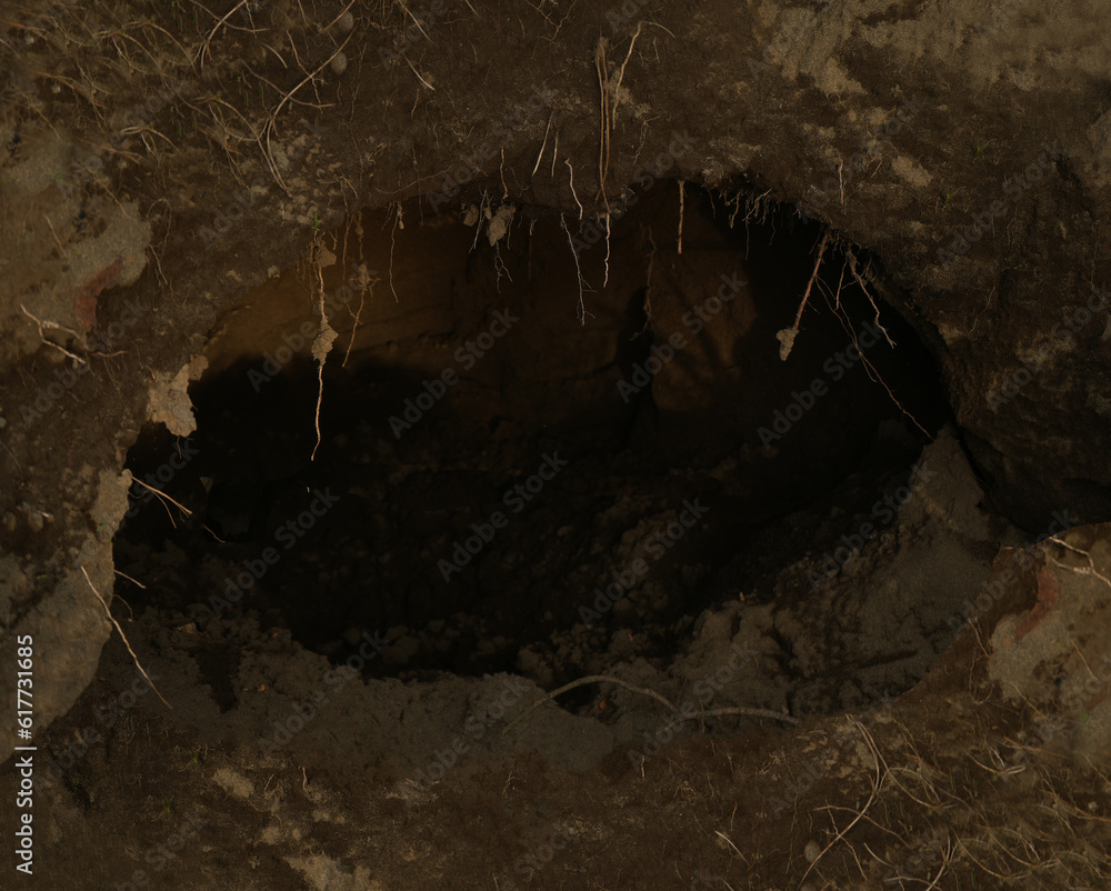Digged grave in the backyard. A pit dug in the ground. A grave. Hole in ...