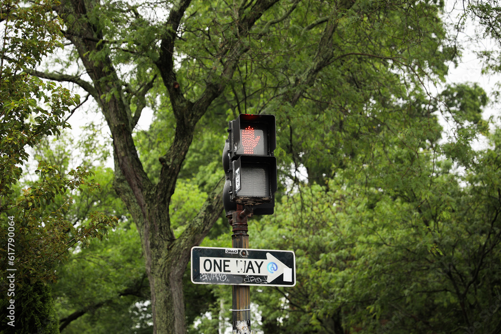 street light with traffic signals, displaying the colors red, green ...
