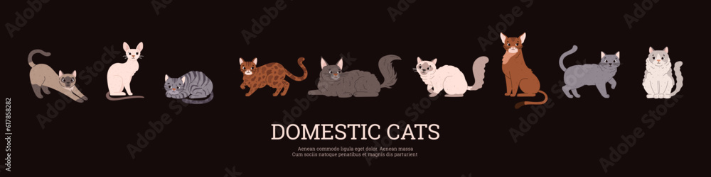 Domestic cats banner design with breeds of animals, flat vector ...