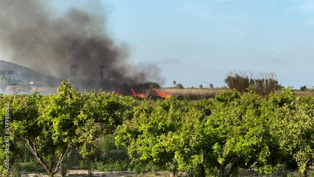 Fire on farm field. Fires in Spain due to drought. Hot weather and ...