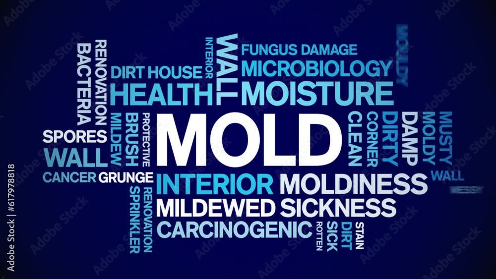 Mold animated tag word cloud;text design animation kinetic typography ...