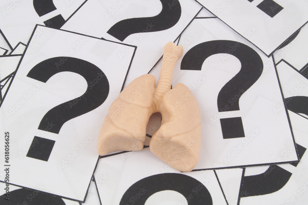 Human lungs on question marks background. Stock Photo | Adobe Stock