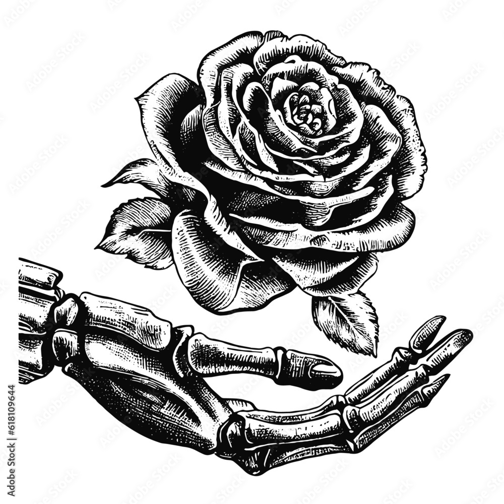 skeleton hand and rose sketch Stock Vector | Adobe Stock