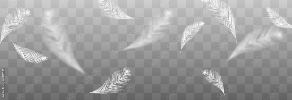 Vector flying feathers. Flying feathers png. Goose or chicken feathers ...