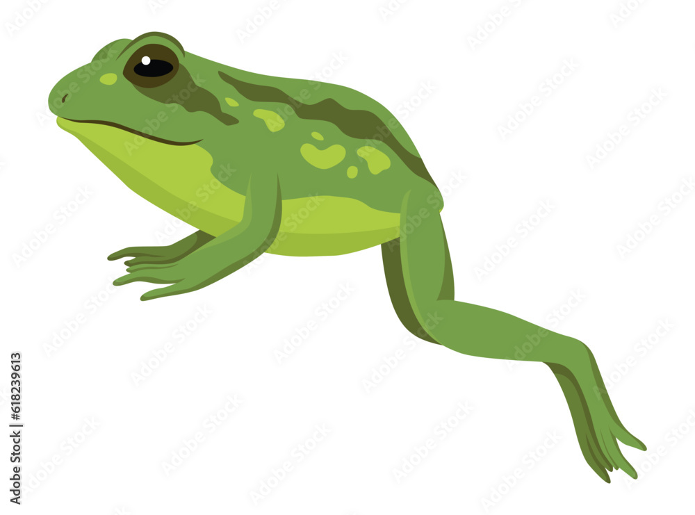 Frog jumping animation icon. Sequences or footage for motion design ...