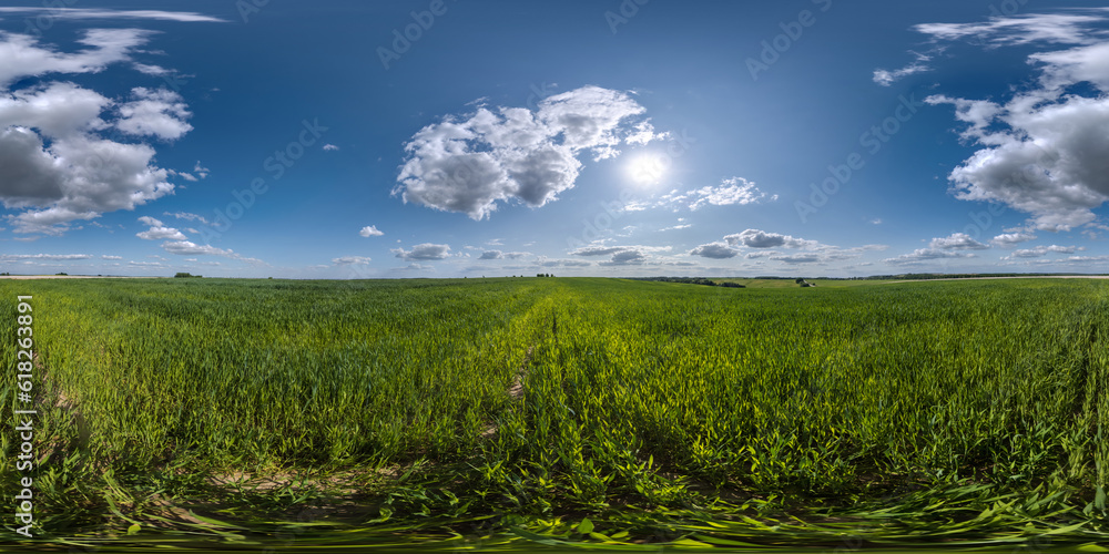 spherical 360 hdri panorama among green grass farming field with clouds ...