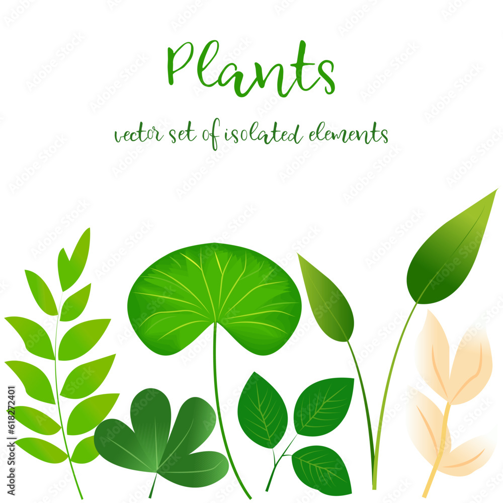 Green plants, vector set of isolated elements on a plain white ...