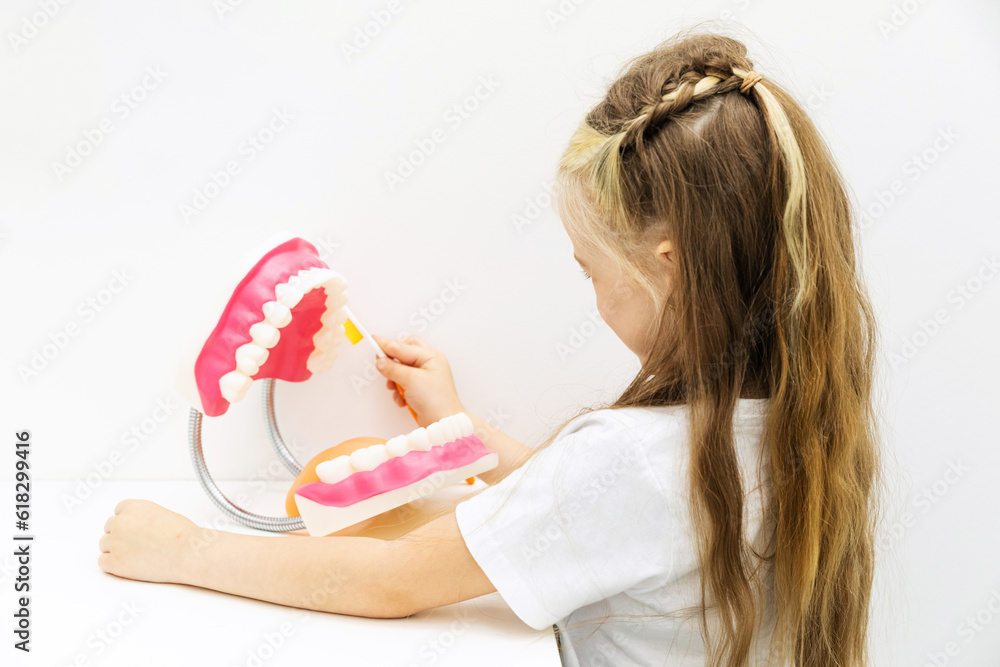 Cute girl showing model of teeth. Funny advertising child teeth ...