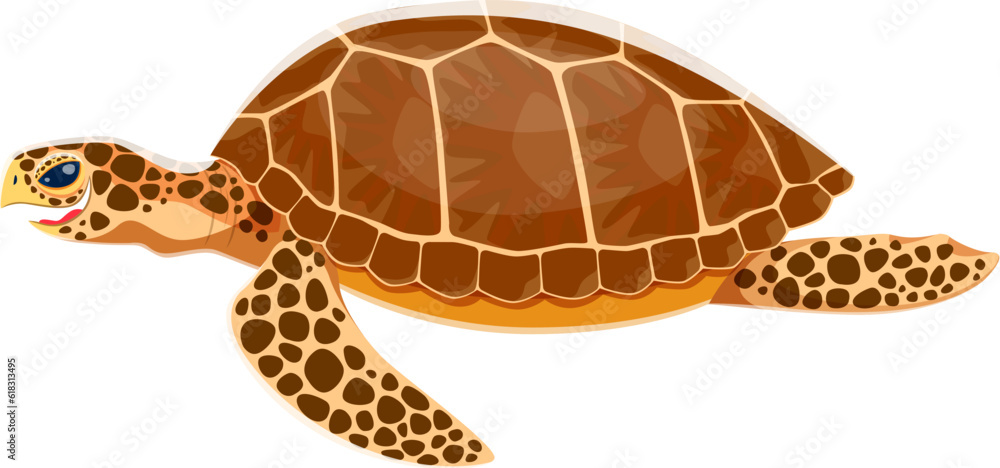 Sea turtle animal character. Isolated cartoon vector majestic creature ...