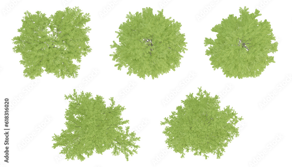 Set of green trees on top view isolated on transparent background, 2d ...