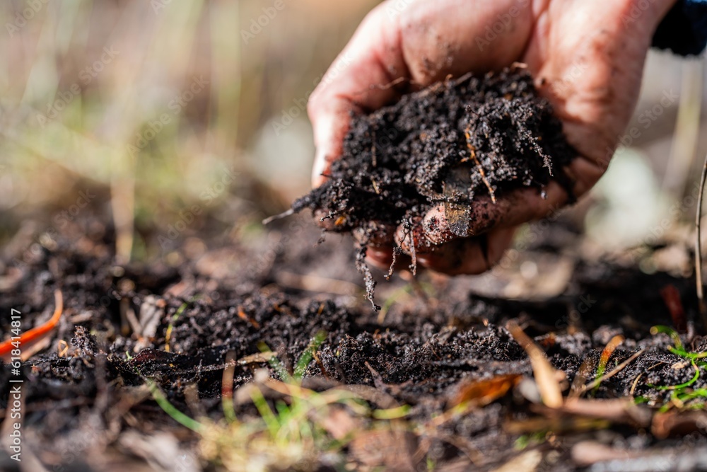 Foto de regenerative organic farmer, taking soil samples and looking at ...