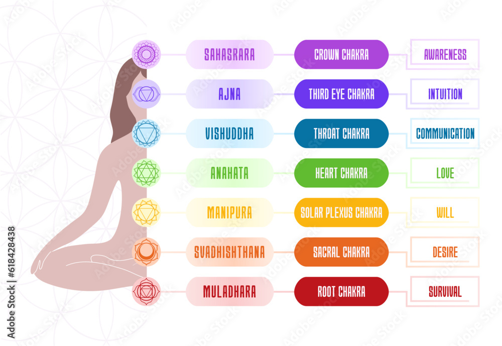 Vetor de 7 chakras chart with meanings and body silhouette. Vector ...