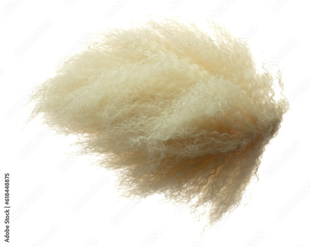 Afro Wig hair style fly fall explosion. Golden blond afro woman wig ...