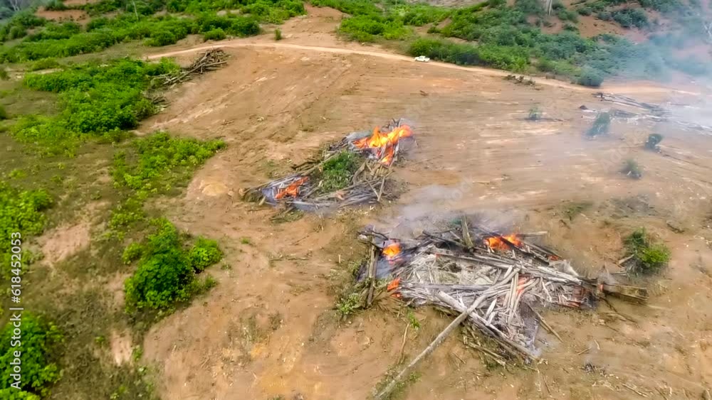 Mass deforestation and burning of rainforests. Burning of felled ...