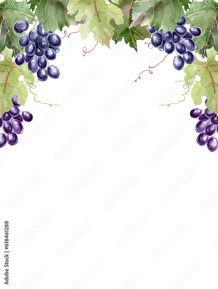 Blue and purple grapes and grape leaves clipart,, Watercolor bunches of ...