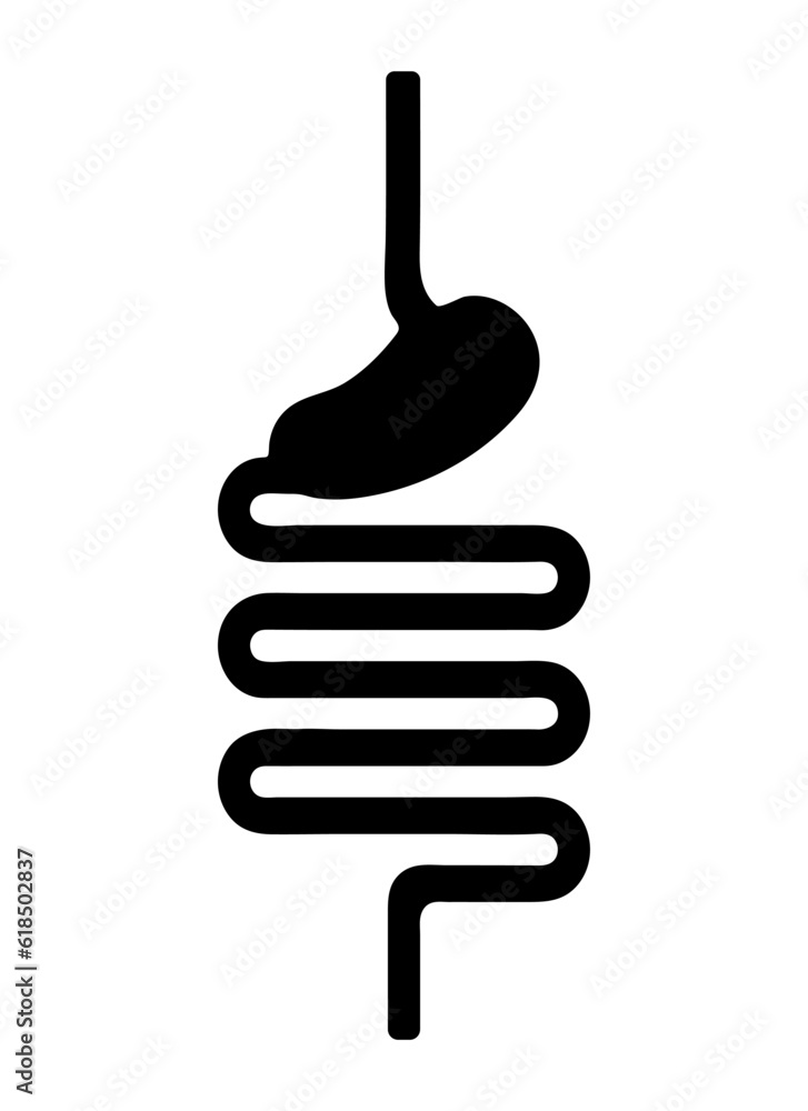 Black silhouette of human digestive system Stock Vector | Adobe Stock