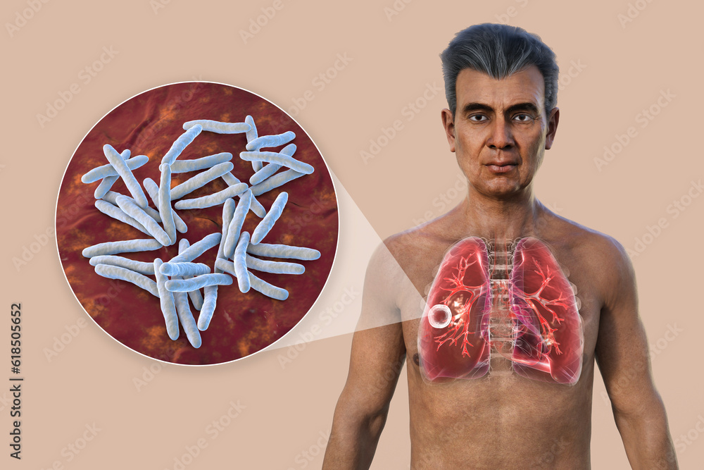 A 3D illustration of the upper half of a man with transparent skin ...