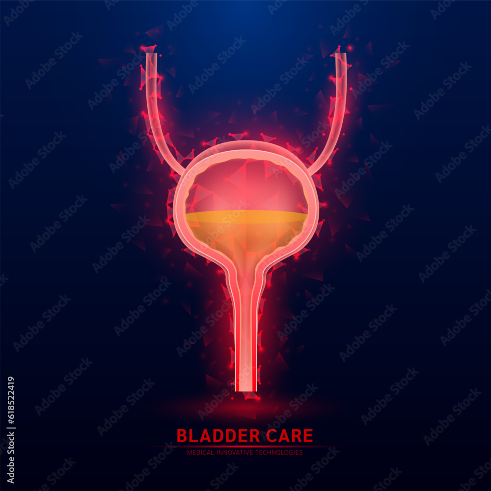Human bladder red translucent low poly triangles on dark blue ...