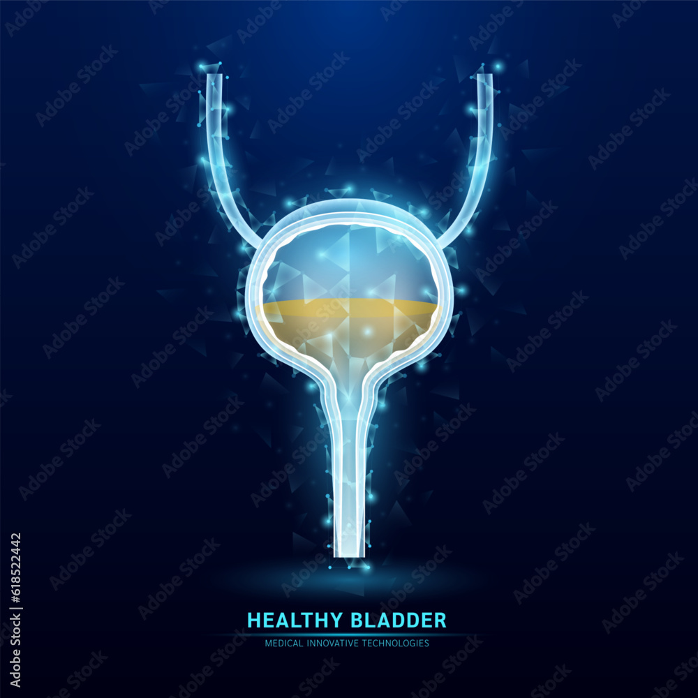 Human bladder white translucent low poly triangles on dark blue ...