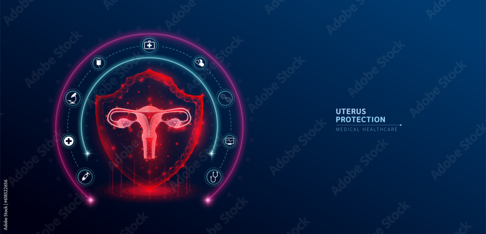 Female uterus medical healthcare. Uterus anatomy organ translucent low ...