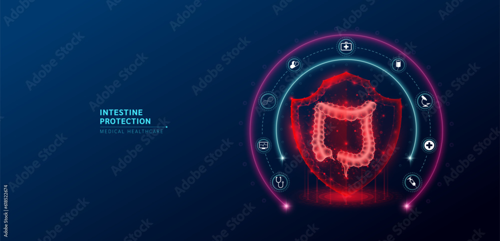 Intestine medical healthcare. Human intestine anatomy organ translucent ...