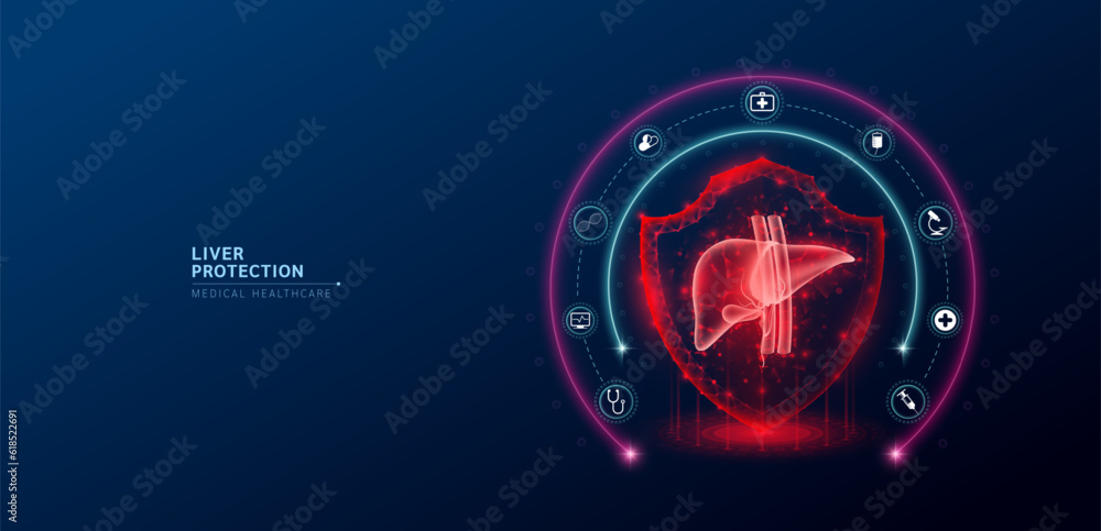 Liver medical healthcare. Human liver anatomy organ translucent low ...