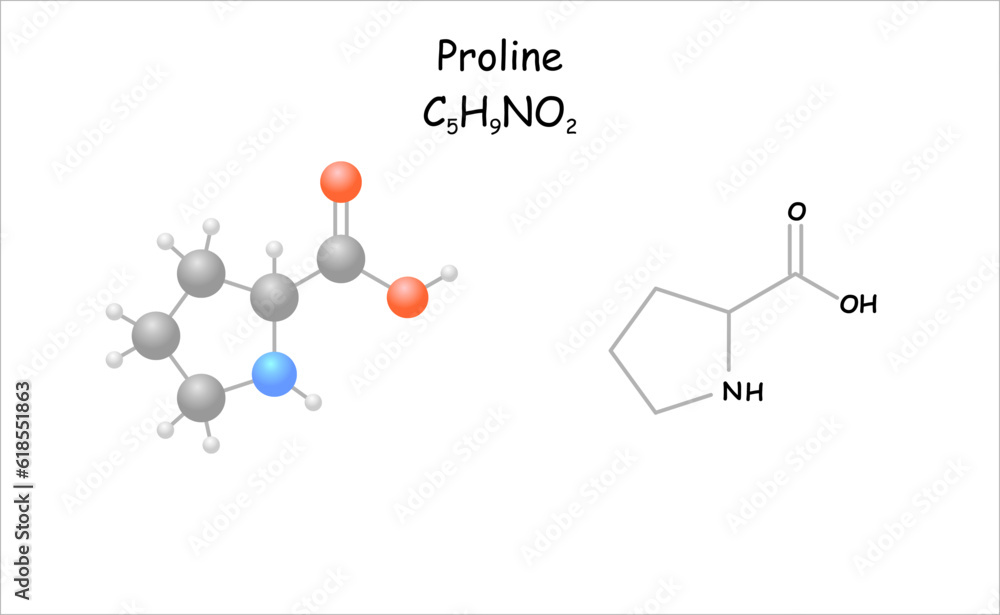 Stylized molecule model/structural formula of proline. Stock Vector ...