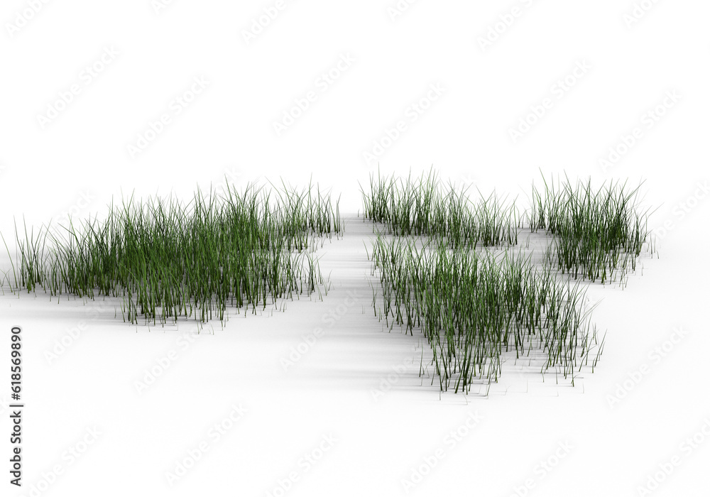 grass patches on transparent background. 3d rendering. Stock ...