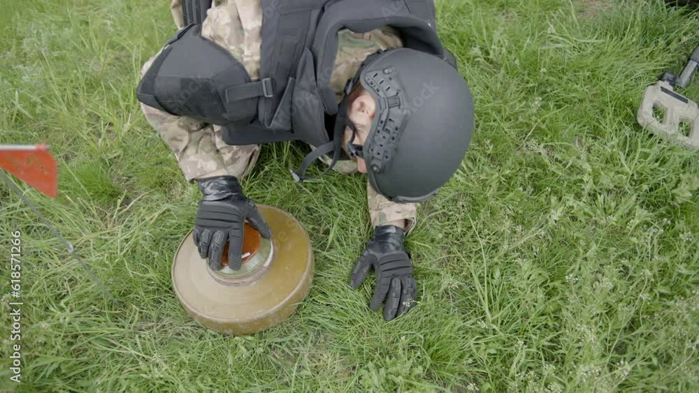 Military sapper demining an anti-tank mine in the field near the forest ...
