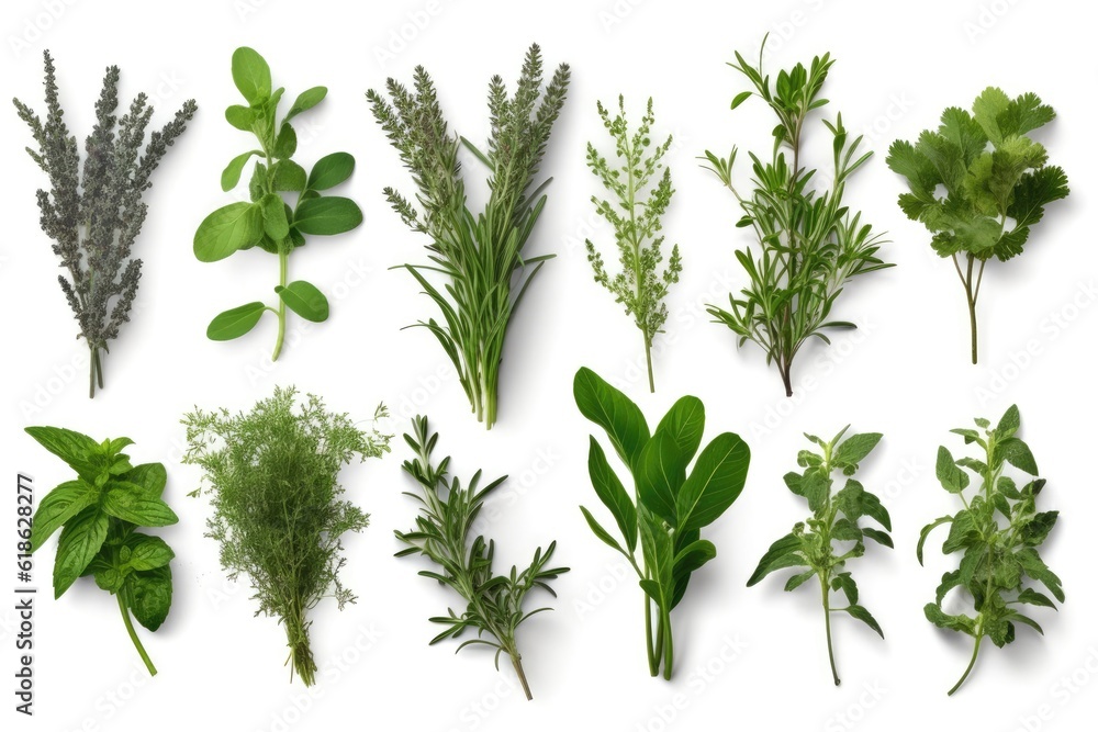 Collection of different types of herbs, icon sets, generative ai ...