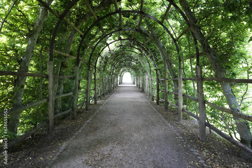 forest, path, nature, trees, tree, park, landscape, leaves, woods, wood ...
