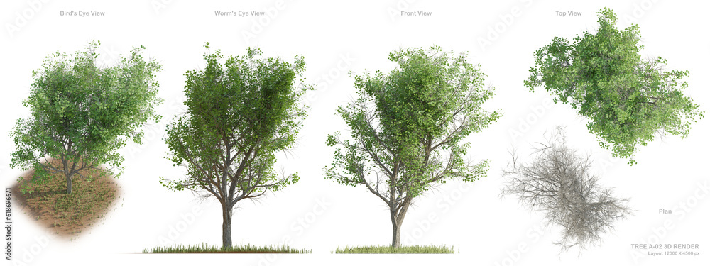 TREE A-01 3D RENDER For Presentation , Architecture design , Urban ...