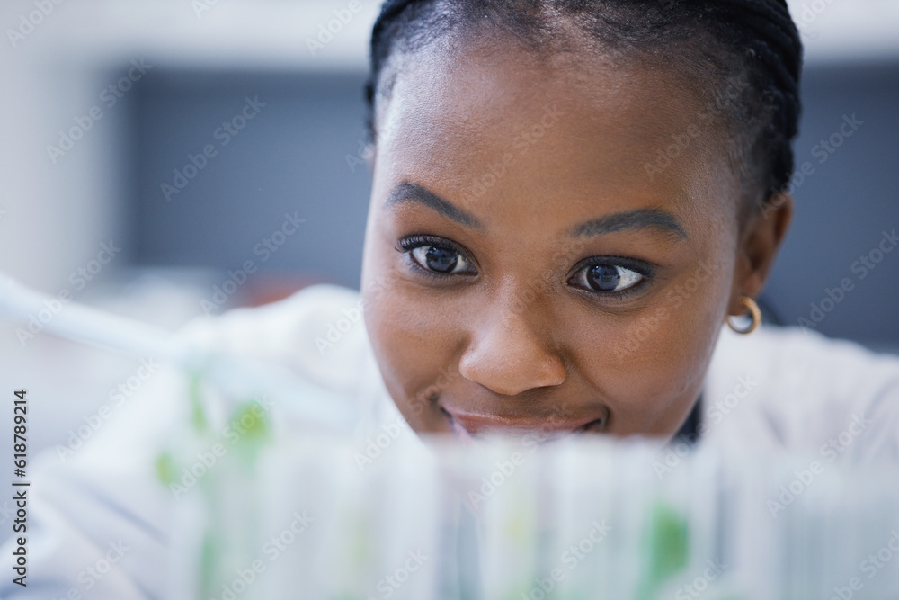 Research, black woman or scientist with plants in test tubes for ...