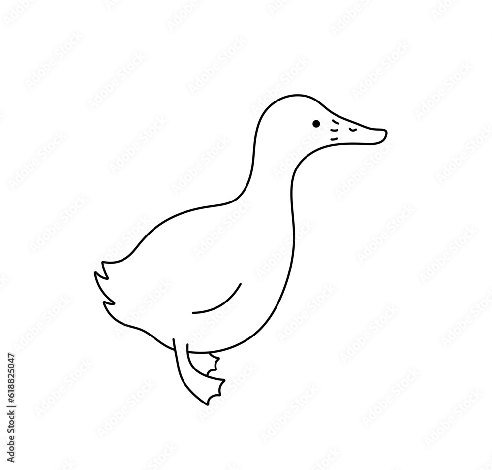 Vector isolated one single standing duck side view colorless black and ...