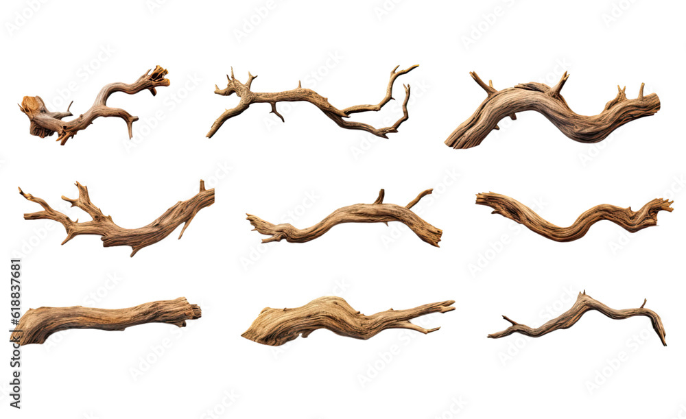 collection of twisted tree roots isolated on a transparent background ...