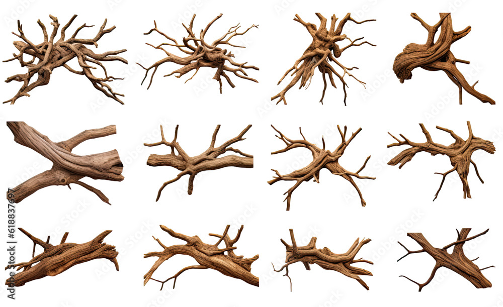 collection of twisted tree roots isolated on a transparent background ...