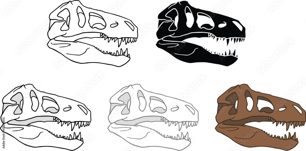 T-Rex / Tyrannosaurus Rex Dinosaur Skull Fossil Clipart - Outline, Silhouette & Color Stock ...