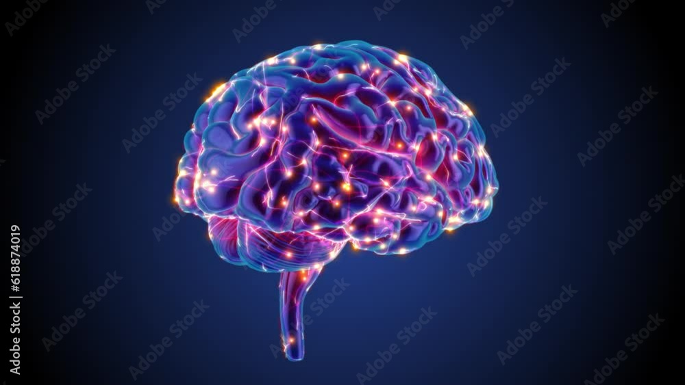 Blue Brain spinning in a 3D animation with neurons sparkling Stock ...