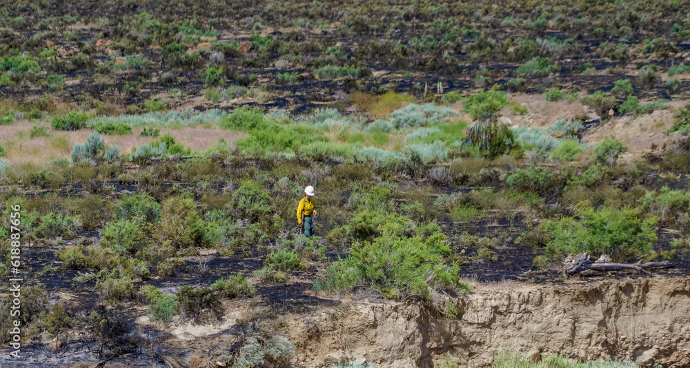 Wildland initial attack engine crew engaging in suppression activities ...