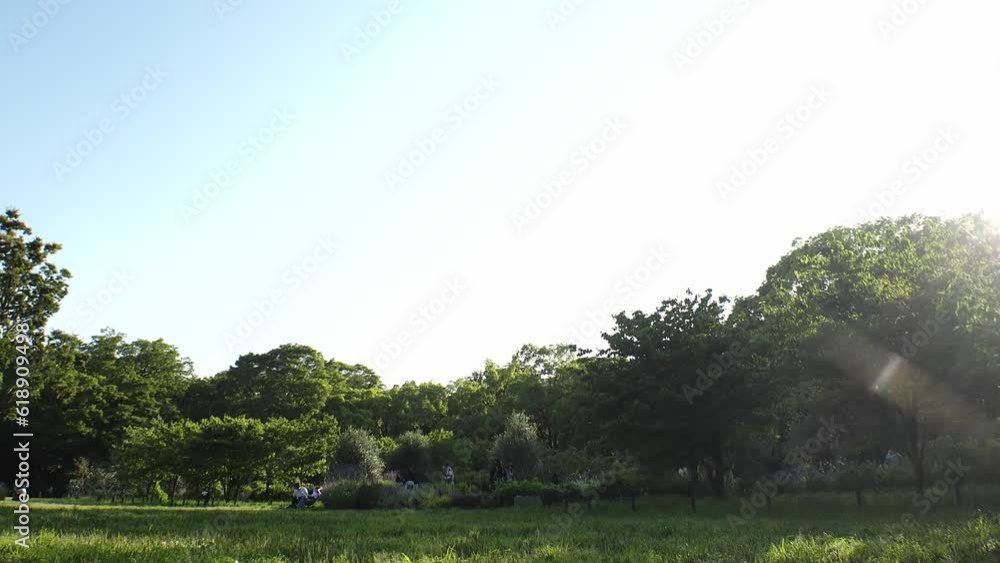 SHIBUYA, TOKYO, JAPAN - JUNE 2023 : View of YOYOGI PARK in sunny ...