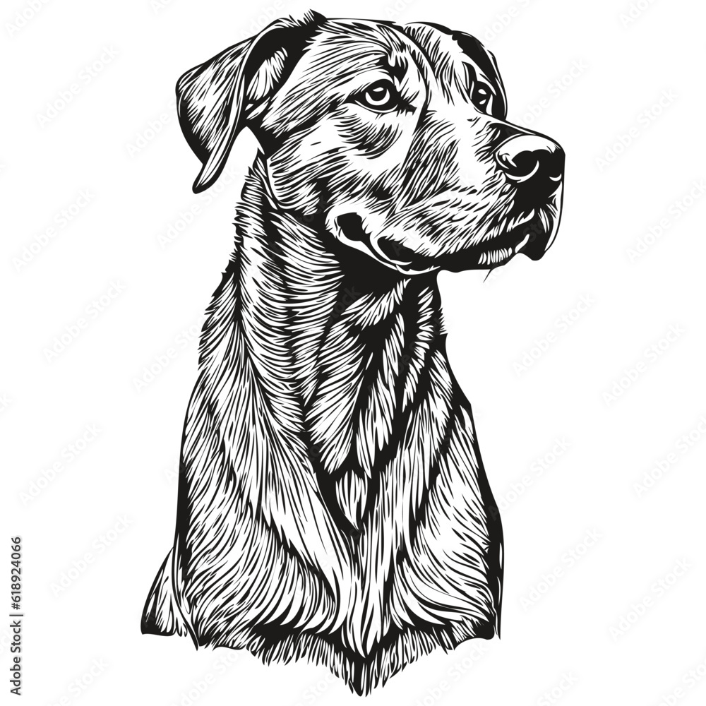 Rhodesian Ridgeback dog black drawing vector, isolated face painting ...