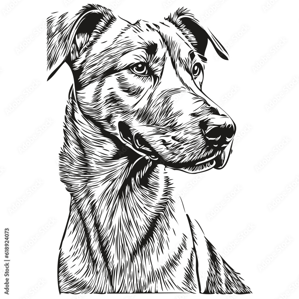Vetor de Rhodesian Ridgeback dog realistic pet illustration, hand ...