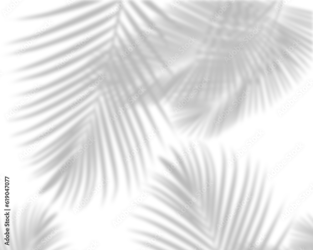 Realistic palm leaves shadow, sunshade dynamic blow 3d render png ...
