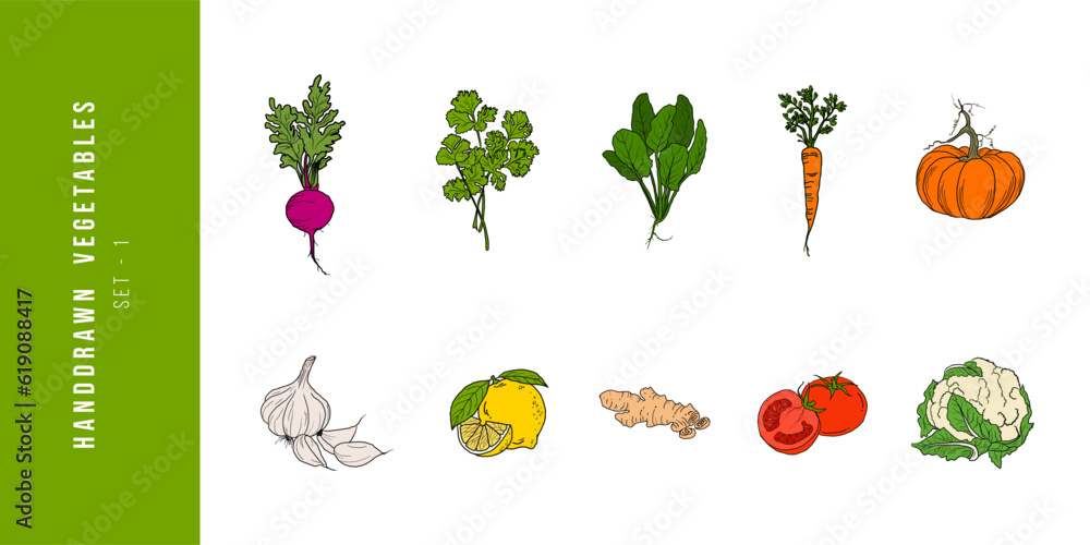 Hand-drawn editable vegetable vector illustrations for brochures, cafe ...