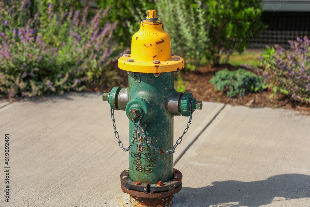 fire hydrant stands prominently on the street, representing safety ...