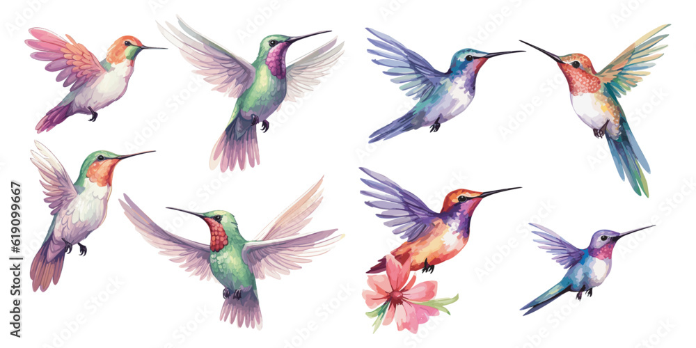 watercolor Hummingbird clipart for graphic resources Stock Vector ...