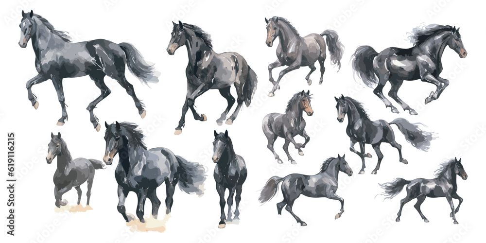 watercolor black Horse clipart for graphic resources Stock Vector ...