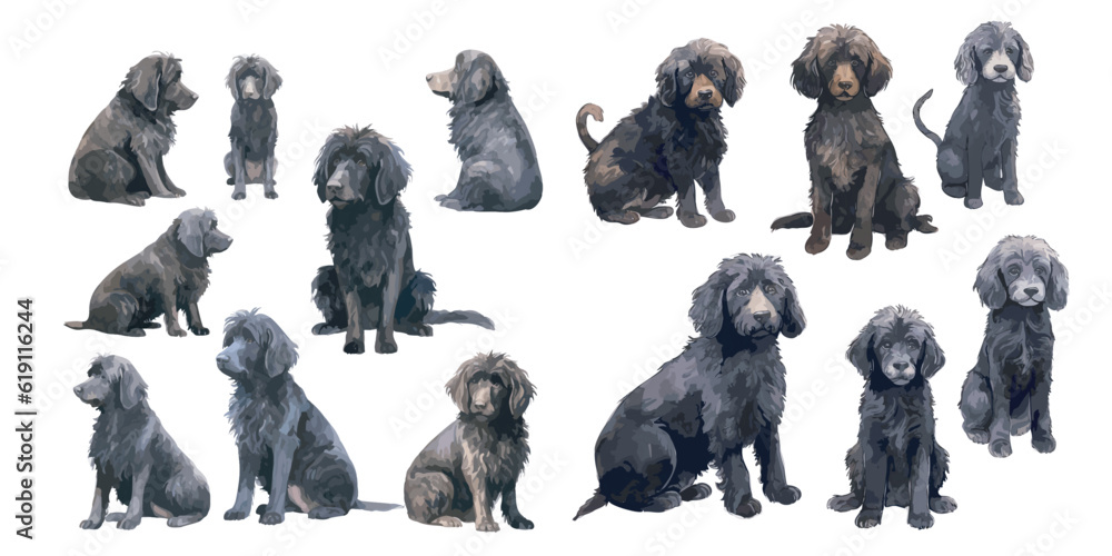 watercolor Black Labradoodle dog clipart for graphic resources Stock ...